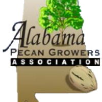 Staying on Top of Pecan Scab – Alabama Pecan Growers Association